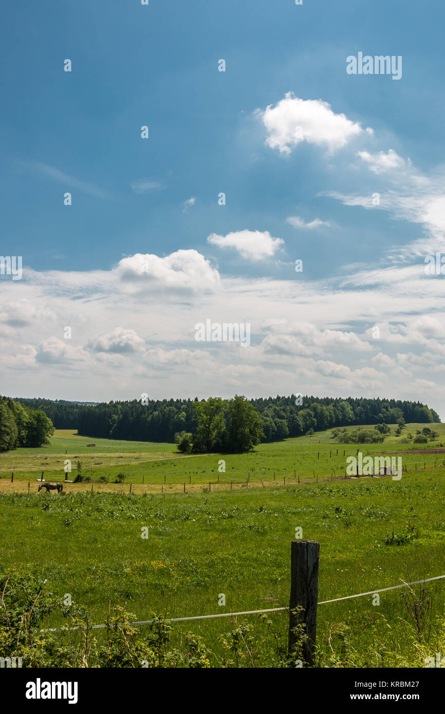 Big fields and green meadows with forest in the background Stock Photo ...