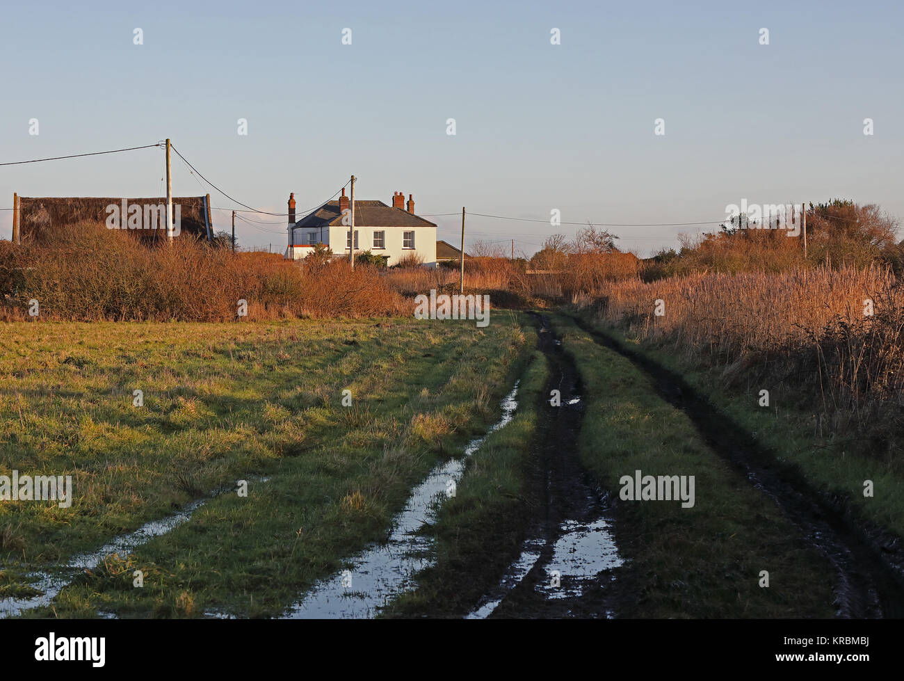 Castle Farm Eccles-on-Sea, Norfolk December Stock Photo - Alamy