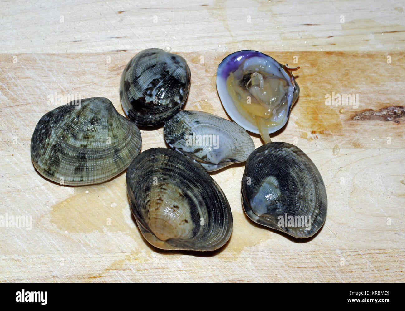 Vongole fishing hi-res stock photography and images - Alamy