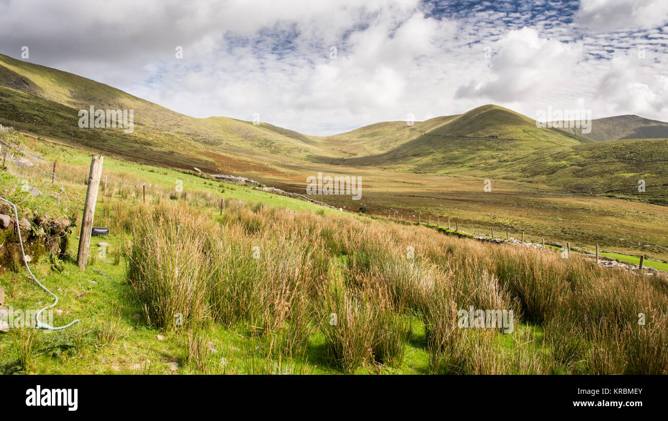 The rolling, desolate grassland landscape of Conor Hill and mountain ...