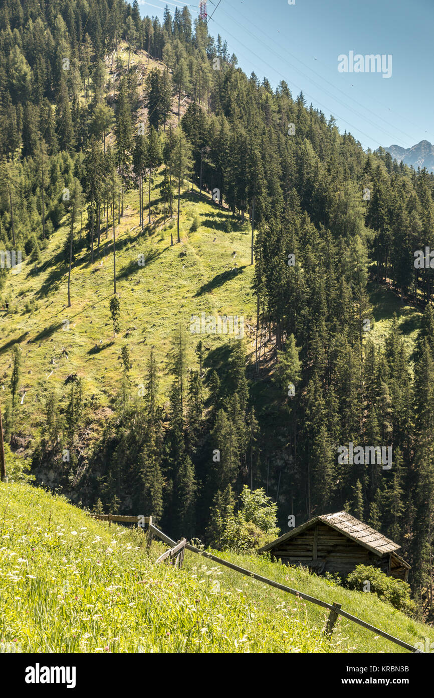 The mountains, green fields, meadows and forests Stock Photo - Alamy