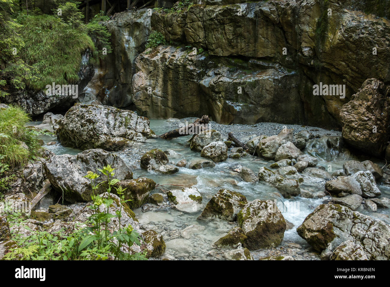 Wild creek, big rocks and trees in the canyon Stock Photo - Alamy