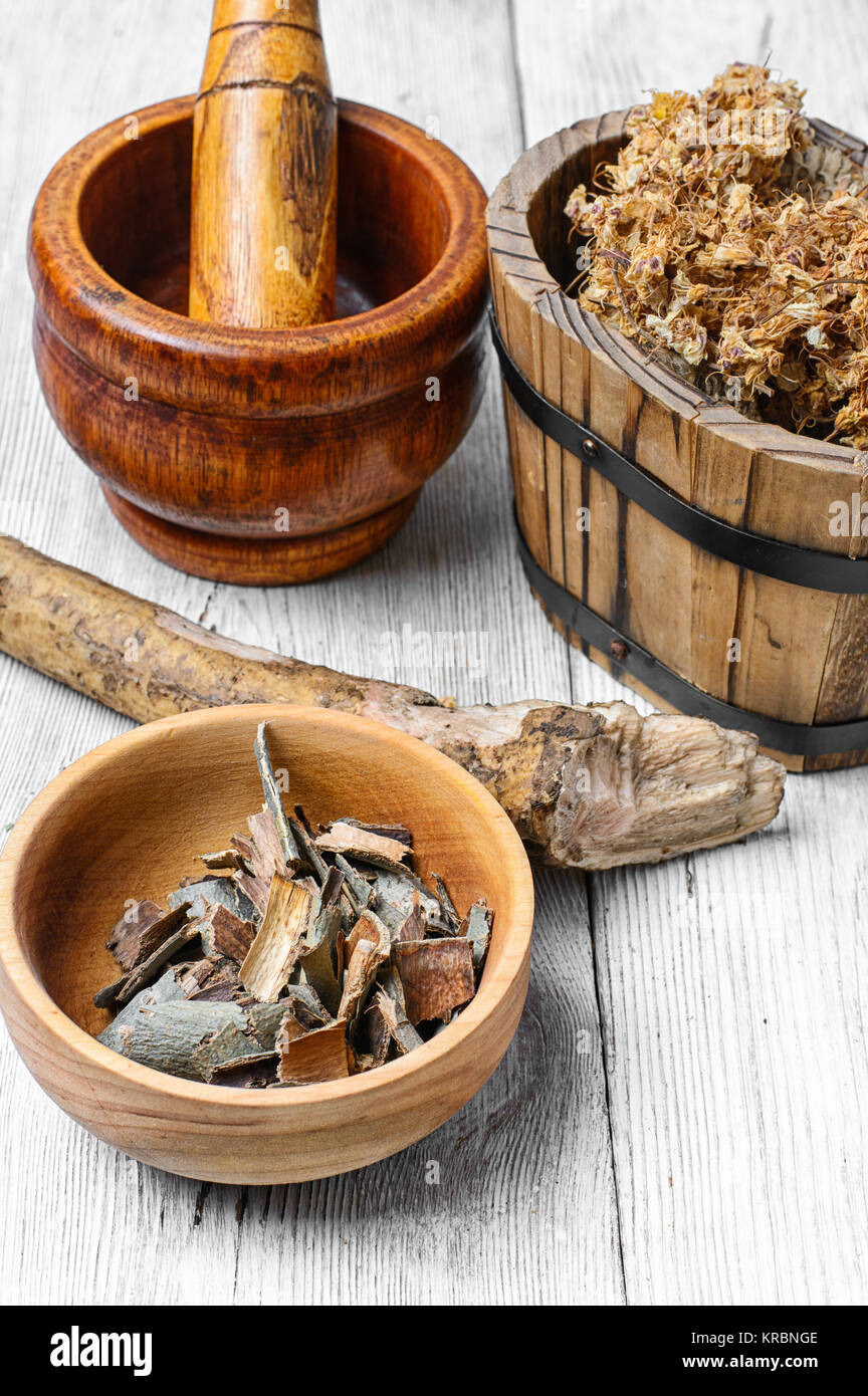 Medicinal plants,herbs in the wooden bowl and inula root Stock Photo ...