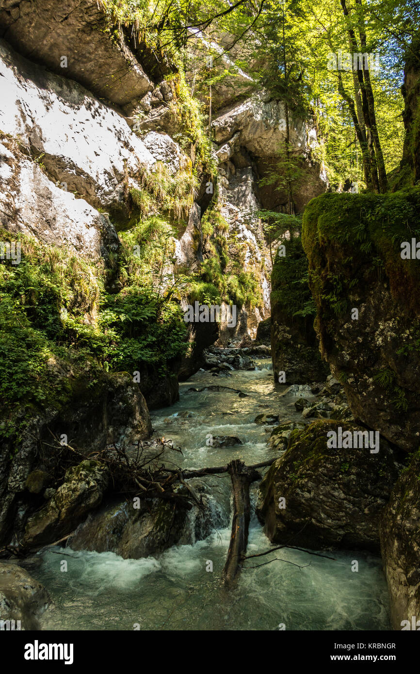 Wild creek, big rocks and trees in the canyon Stock Photo - Alamy