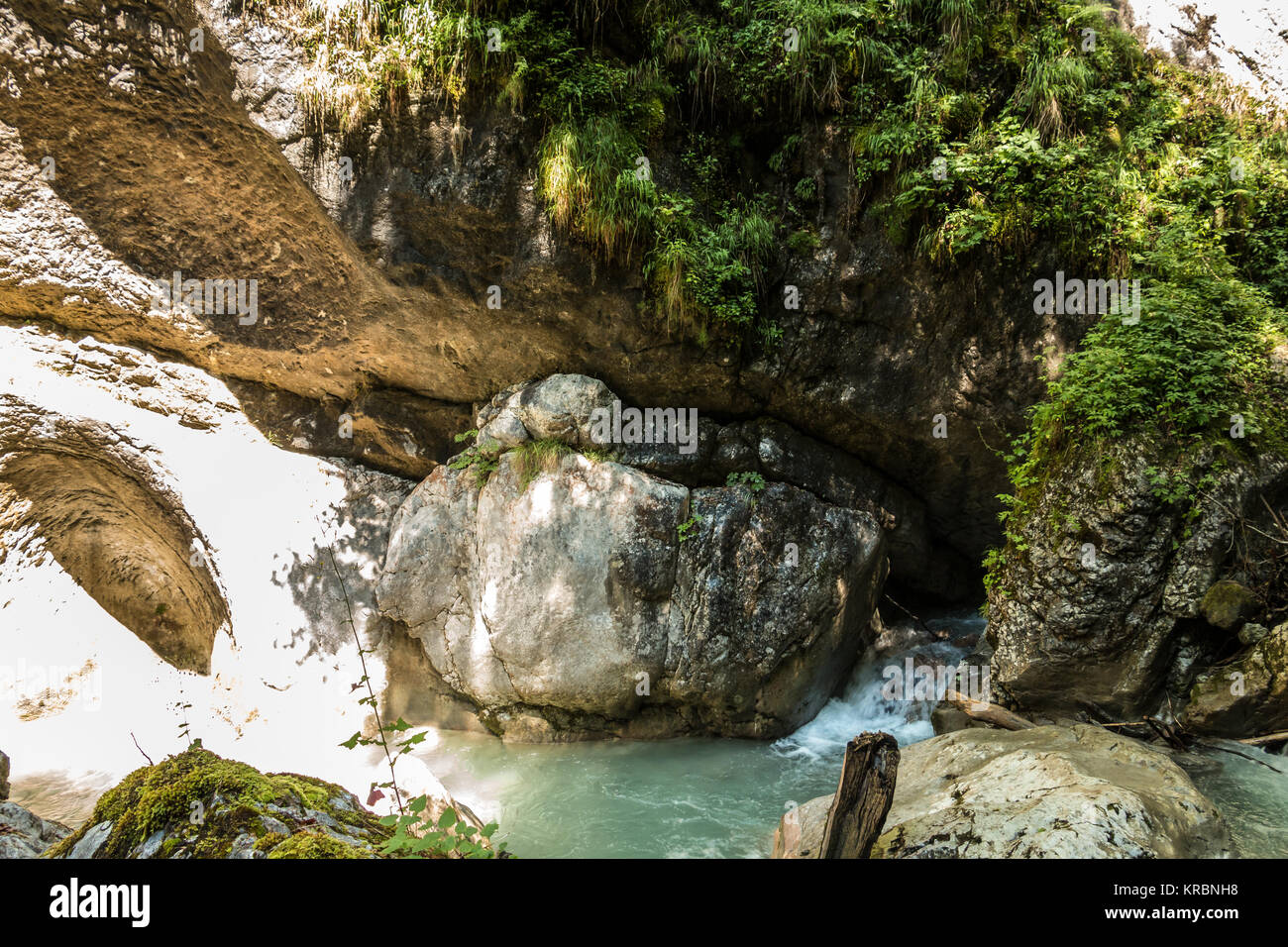 Wild creek, big rocks and trees in the canyon Stock Photo - Alamy
