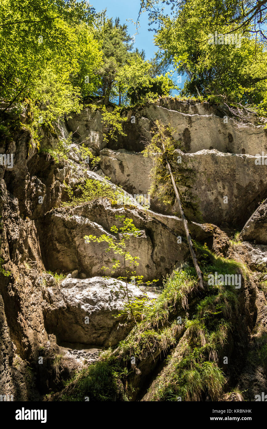 Wild creeks hi-res stock photography and images - Alamy