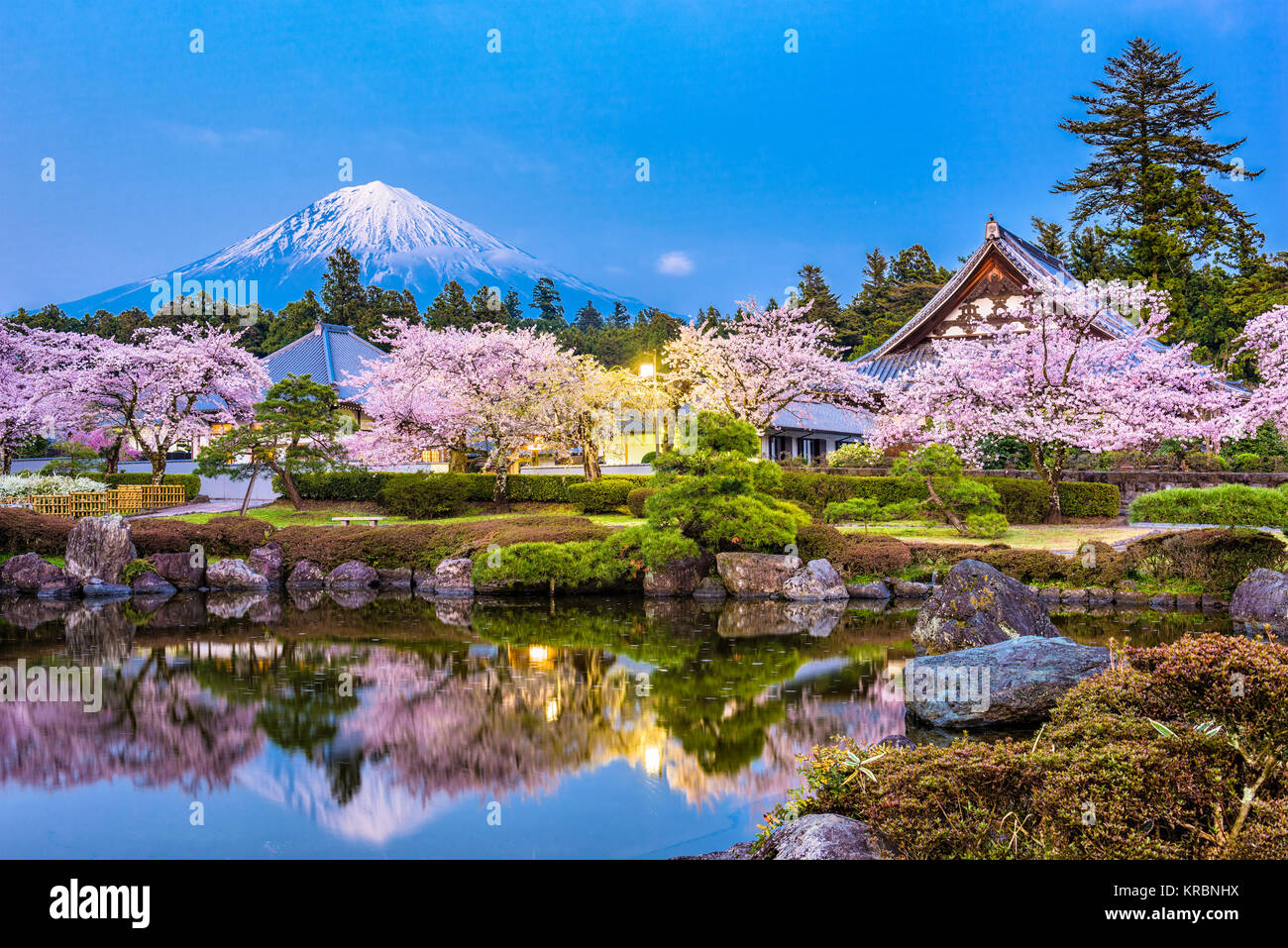 Fujinomiya, Shizuoka, Japan with Mt. Fuji and temples in spring season ...