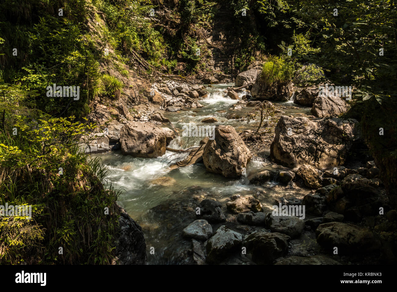Wild creek, big rocks and trees in the canyon Stock Photo - Alamy