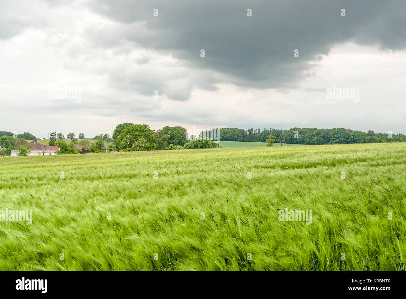 stormy rural springtime scenery Stock Photo - Alamy