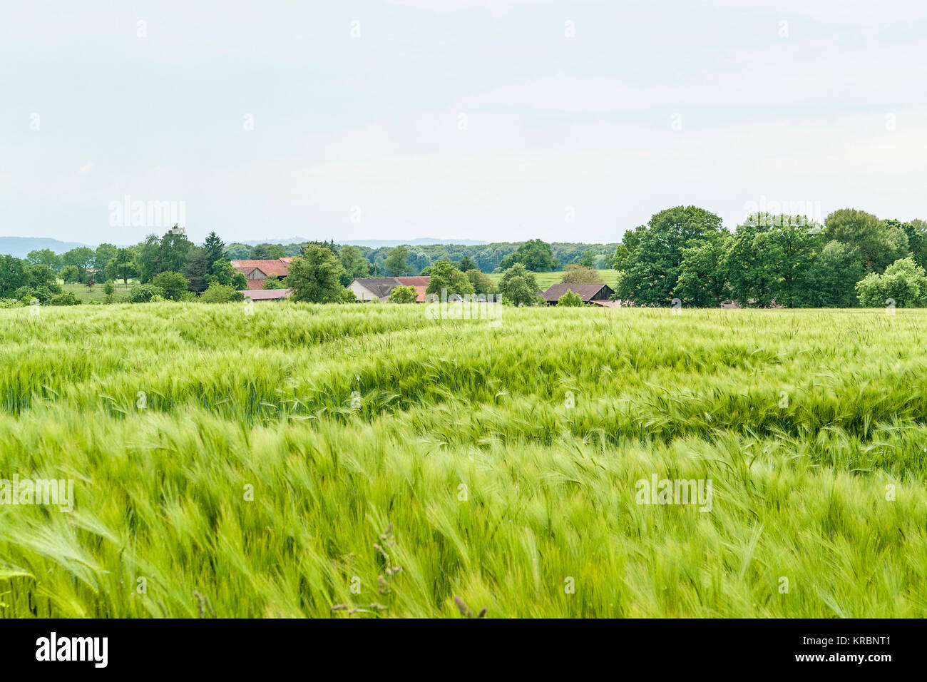 agricultural springtime scenery Stock Photo - Alamy