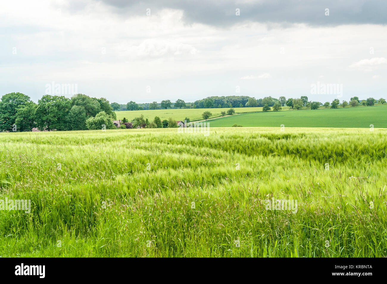 stormy rural springtime scenery Stock Photo - Alamy