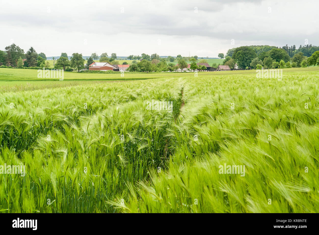 stormy rural springtime scenery Stock Photo - Alamy