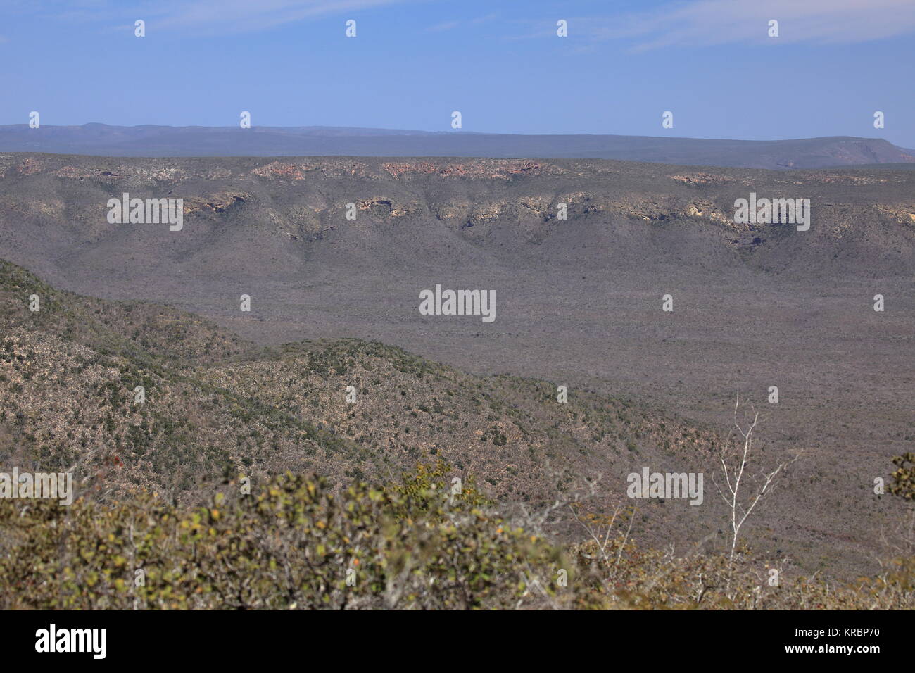 the caatinga landscape in northeast brazil Stock Photo - Alamy
