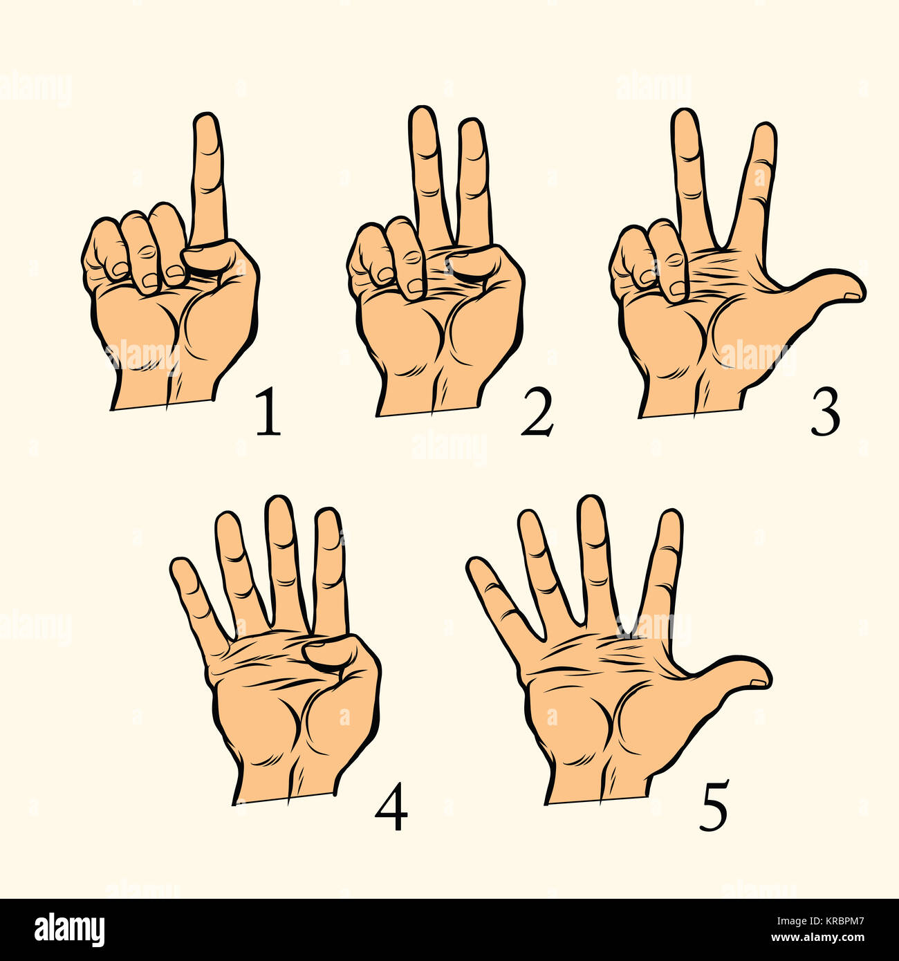 Set of hand gestures count 1 2 3 4 and 5 Stock Photo - Alamy