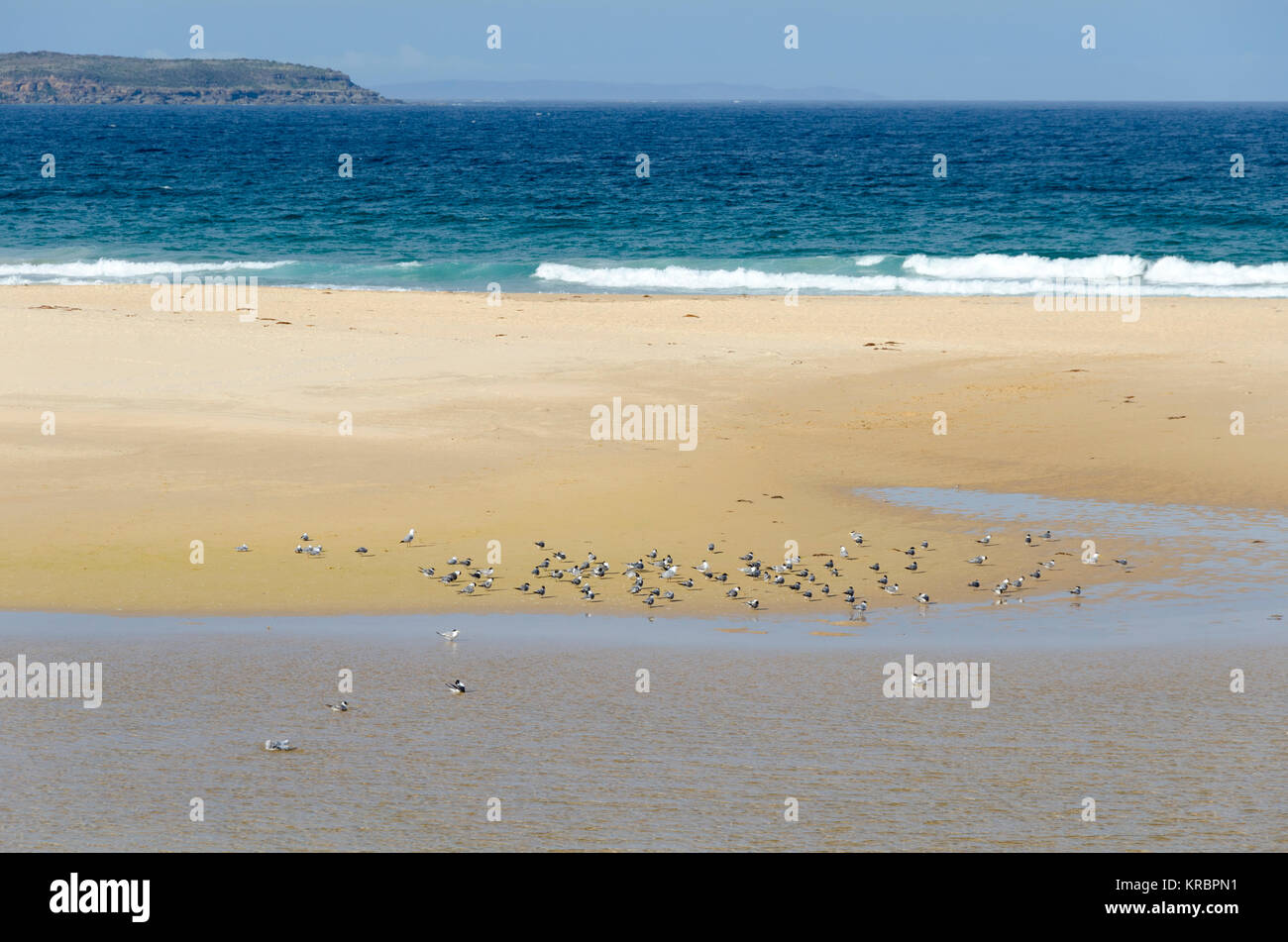 Wairo Beach, Lake Tabourie, New South Wales, Australia Stock Photo - Alamy