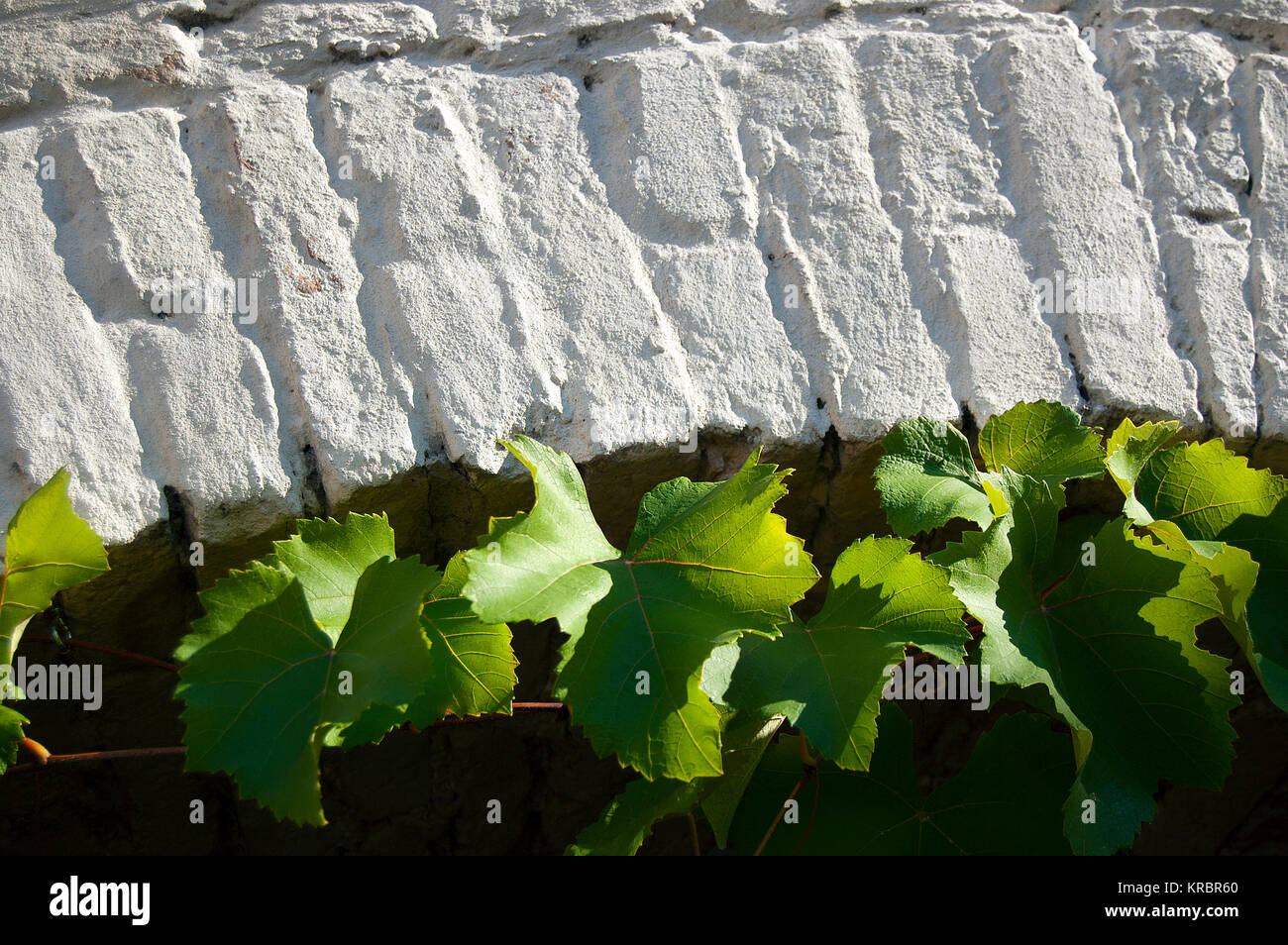 Arch of white stone hi-res stock photography and images - Alamy