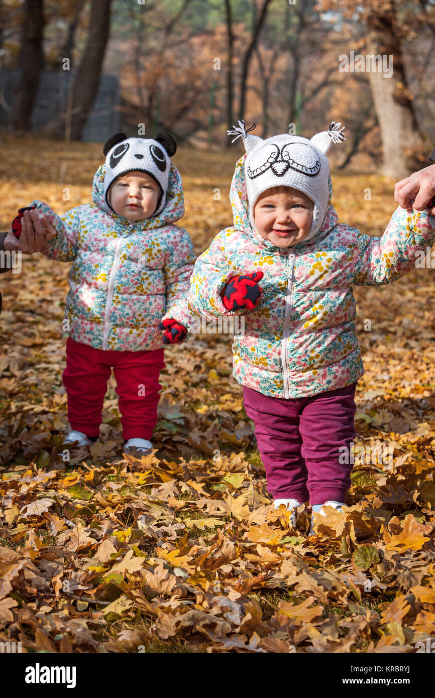 The two little baby girls standing in autumn leaves Stock Photo - Alamy