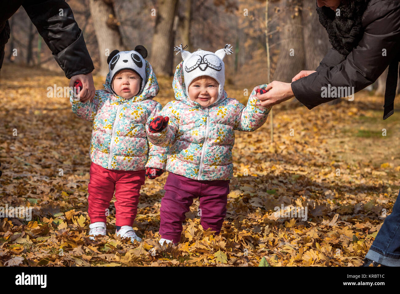 The two little baby girls standing in autumn leaves Stock Photo - Alamy