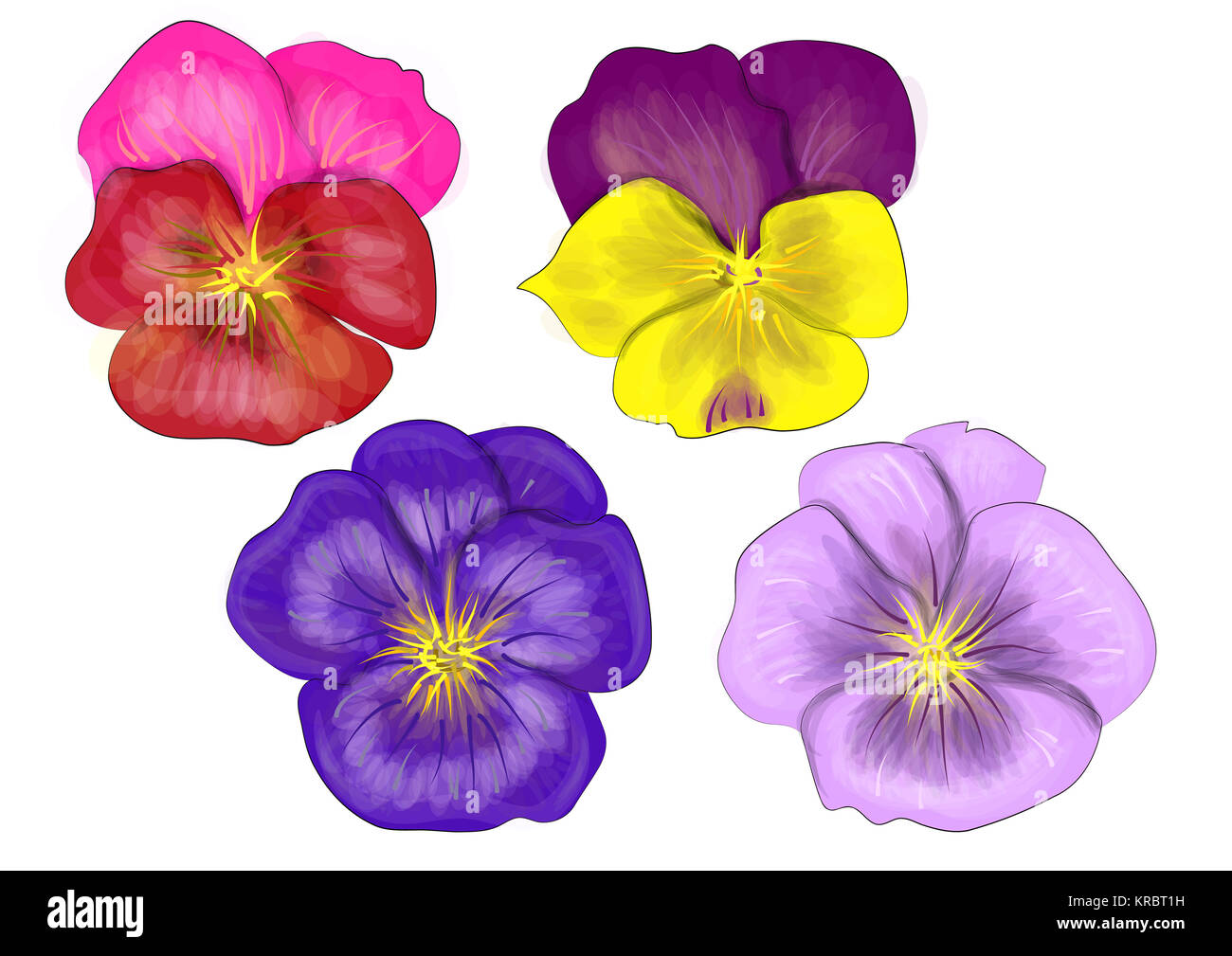set of pansy Stock Photo - Alamy