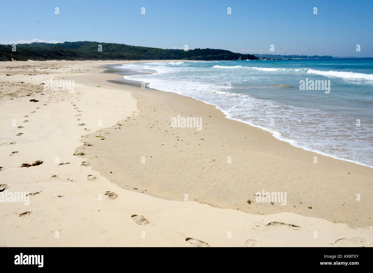 Beach at Potato Point, New South Wales, Australia Stock Photo - Alamy