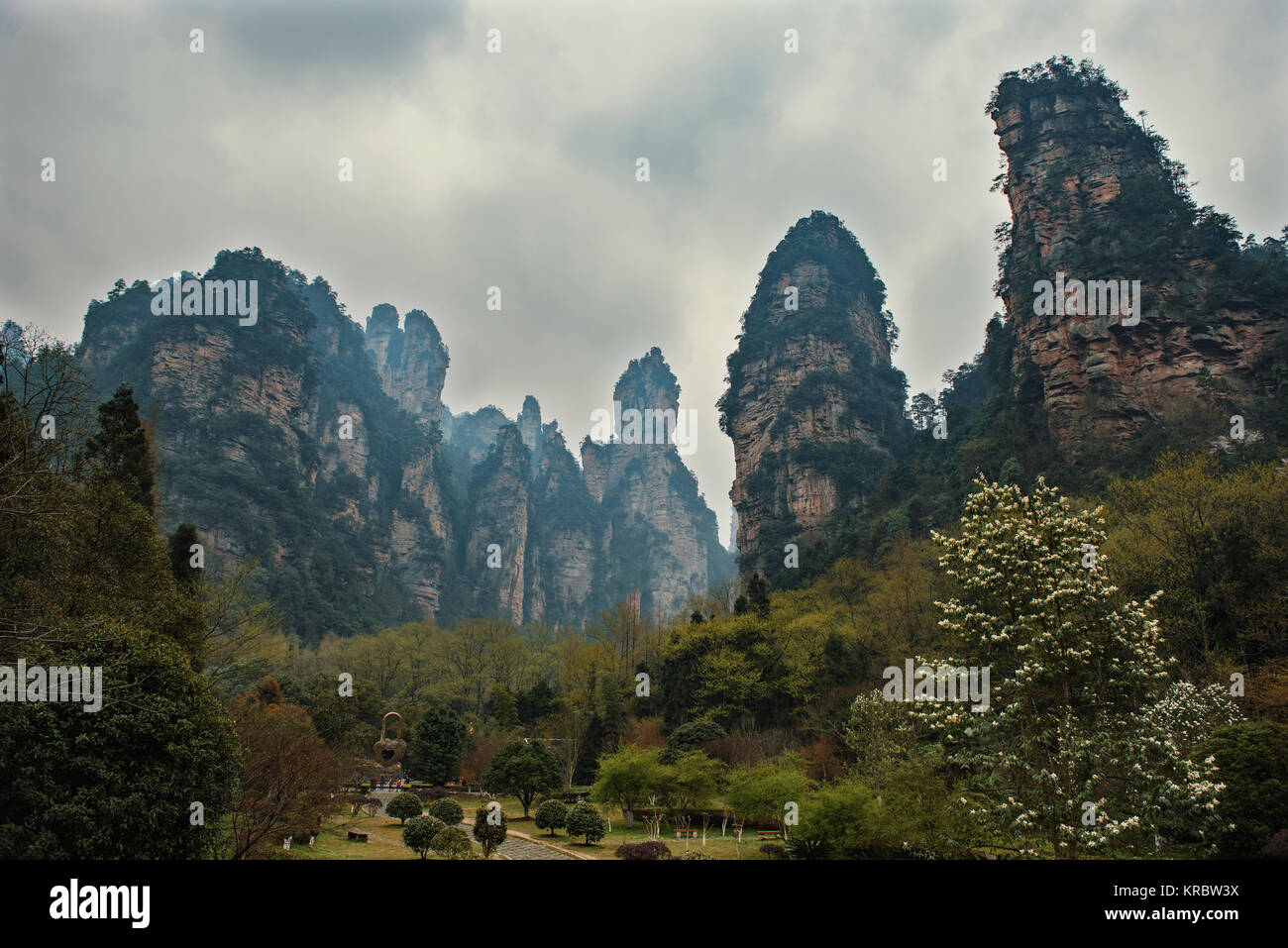 Zhangjiajie National Forest Park, Hunan, China Stock Photo - Alamy