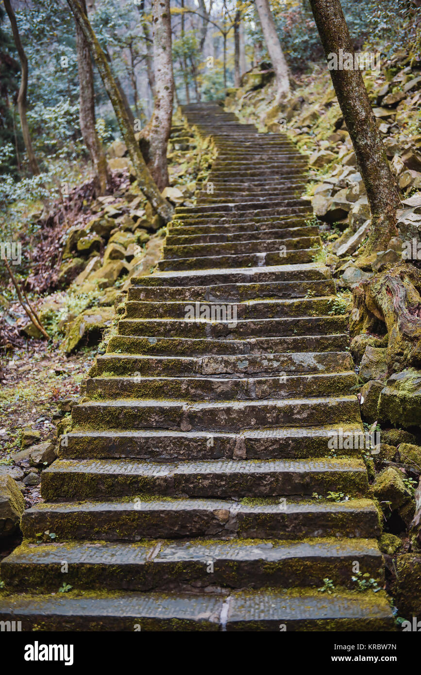 Stair pathway in Zhangjiajie National Park Stock Photo - Alamy