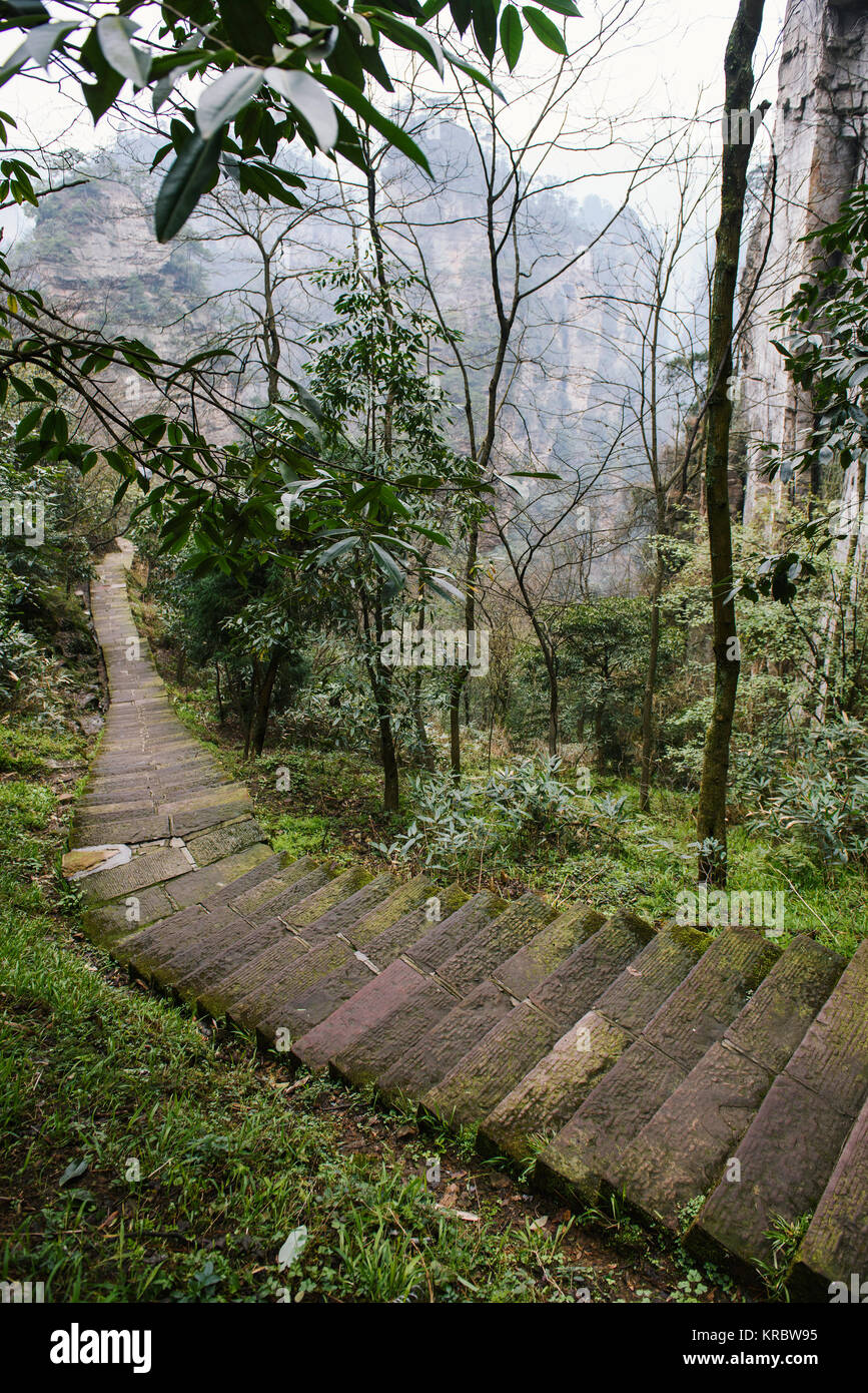 Stair pathway in Zhangjiajie National Park Stock Photo - Alamy