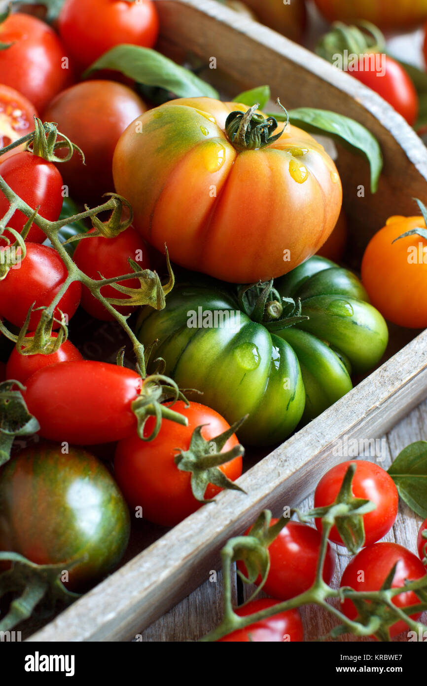 Tomatoes vintage hi-res stock photography and images - Alamy