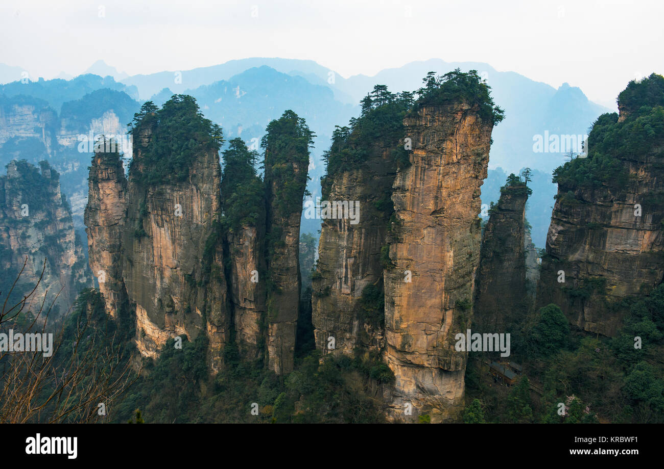 Zhangjiajie National Forest Park, Hunan, China Stock Photo - Alamy