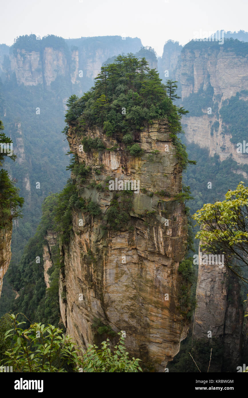 Zhangjiajie National Forest Park, Hunan, China Stock Photo - Alamy