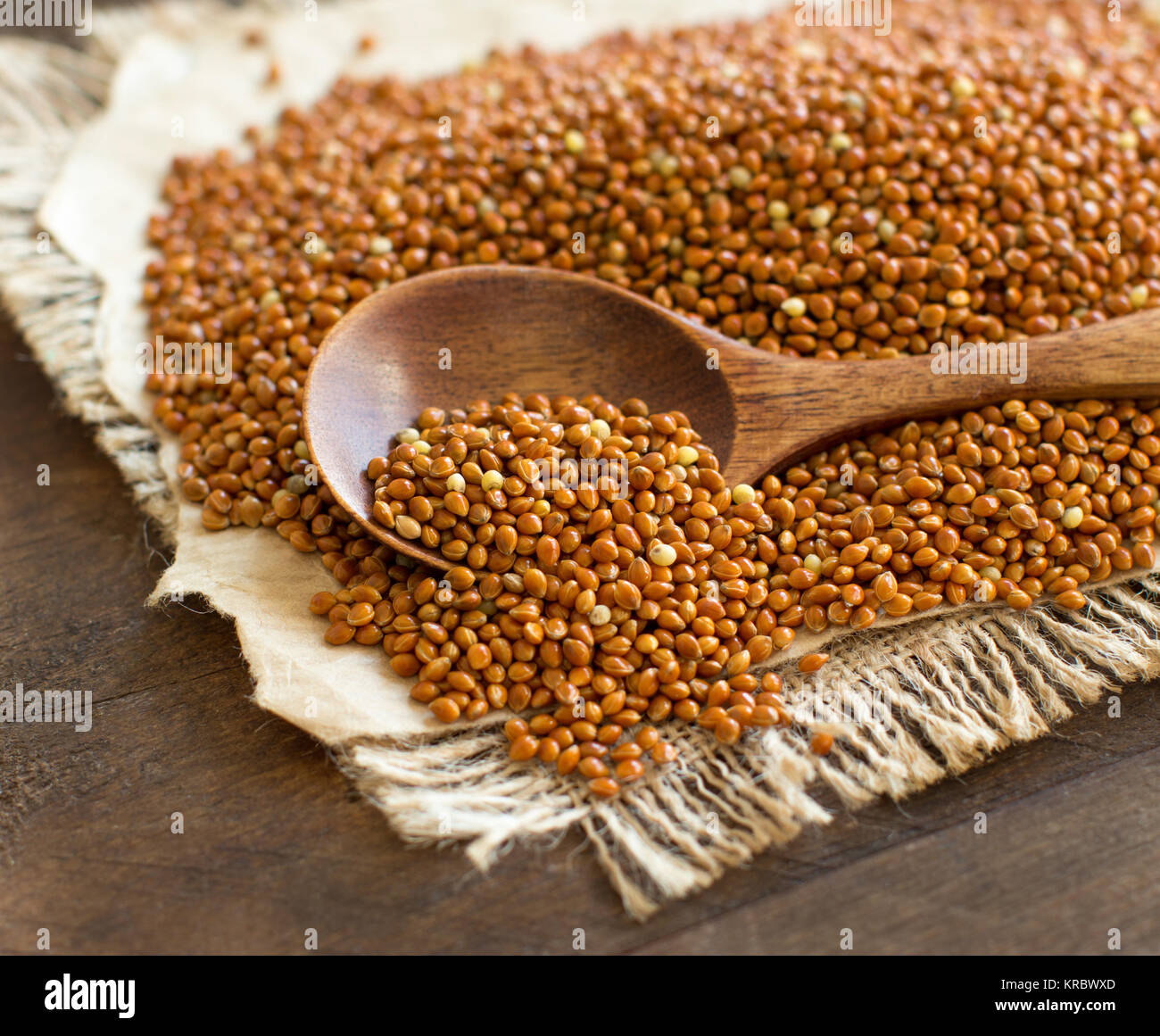 Whole brown millet pile with a spoon Stock Photo - Alamy