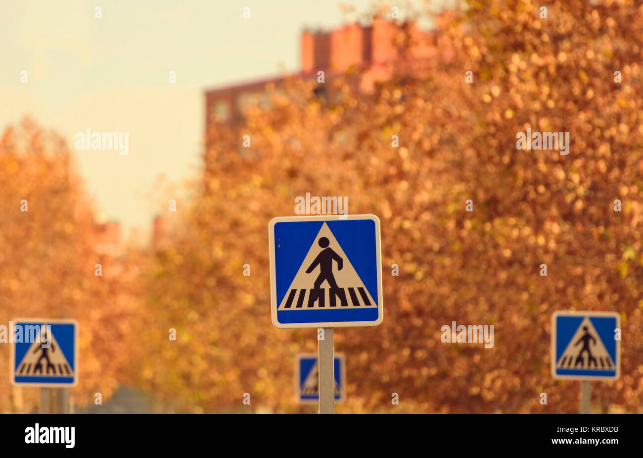 Crosswalk signs in urban area Stock Photo - Alamy