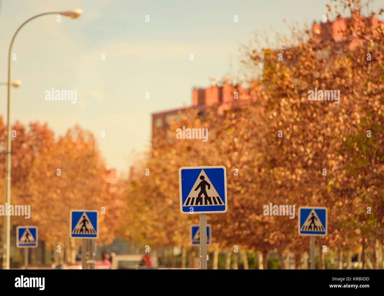 Crosswalk signs in urban area Stock Photo - Alamy