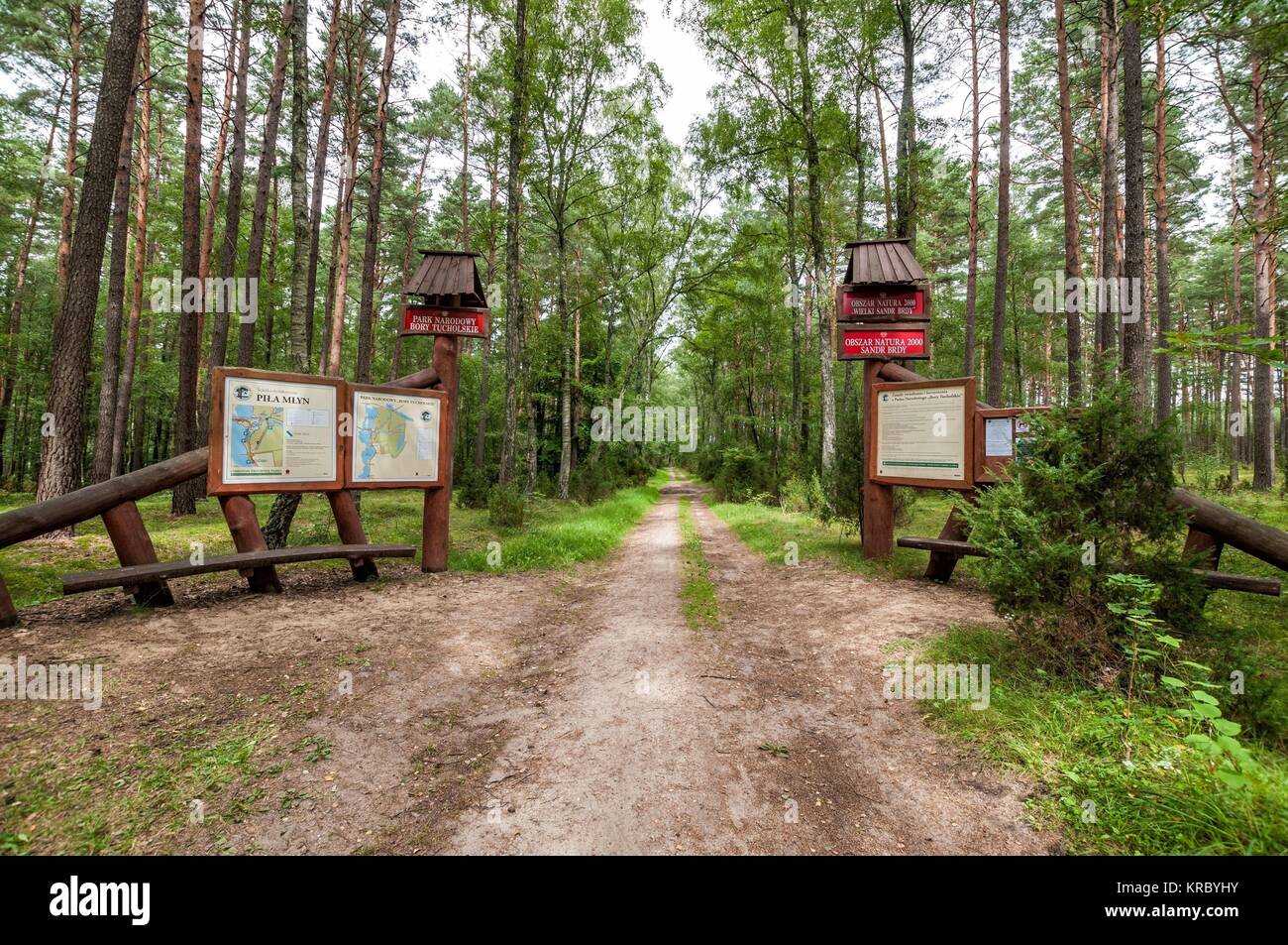 Tuchola forest bory tucholskie national park hi-res stock photography ...