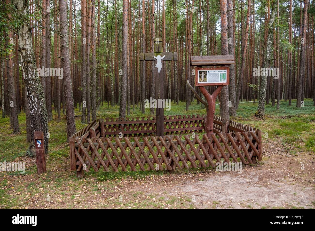 Tuchola forest national park hi-res stock photography and images - Alamy