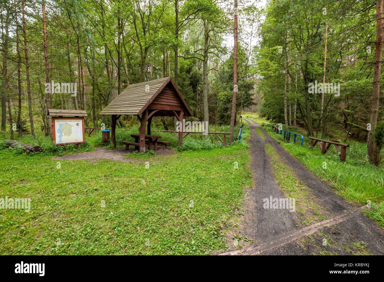 Tuchola forest bory tucholskie national park hi-res stock photography ...