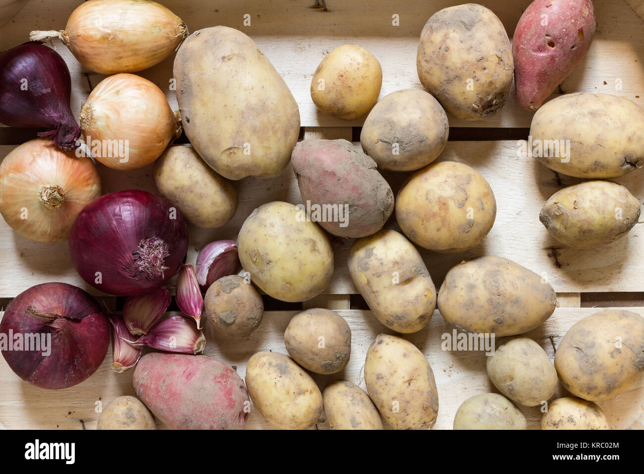 potatoes and other root vegetables in a wooden box Stock Photo - Alamy