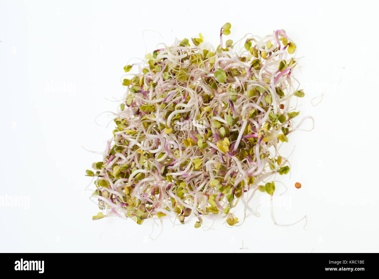 The healthy diet. Fresh sprouts isolated on white background Stock ...