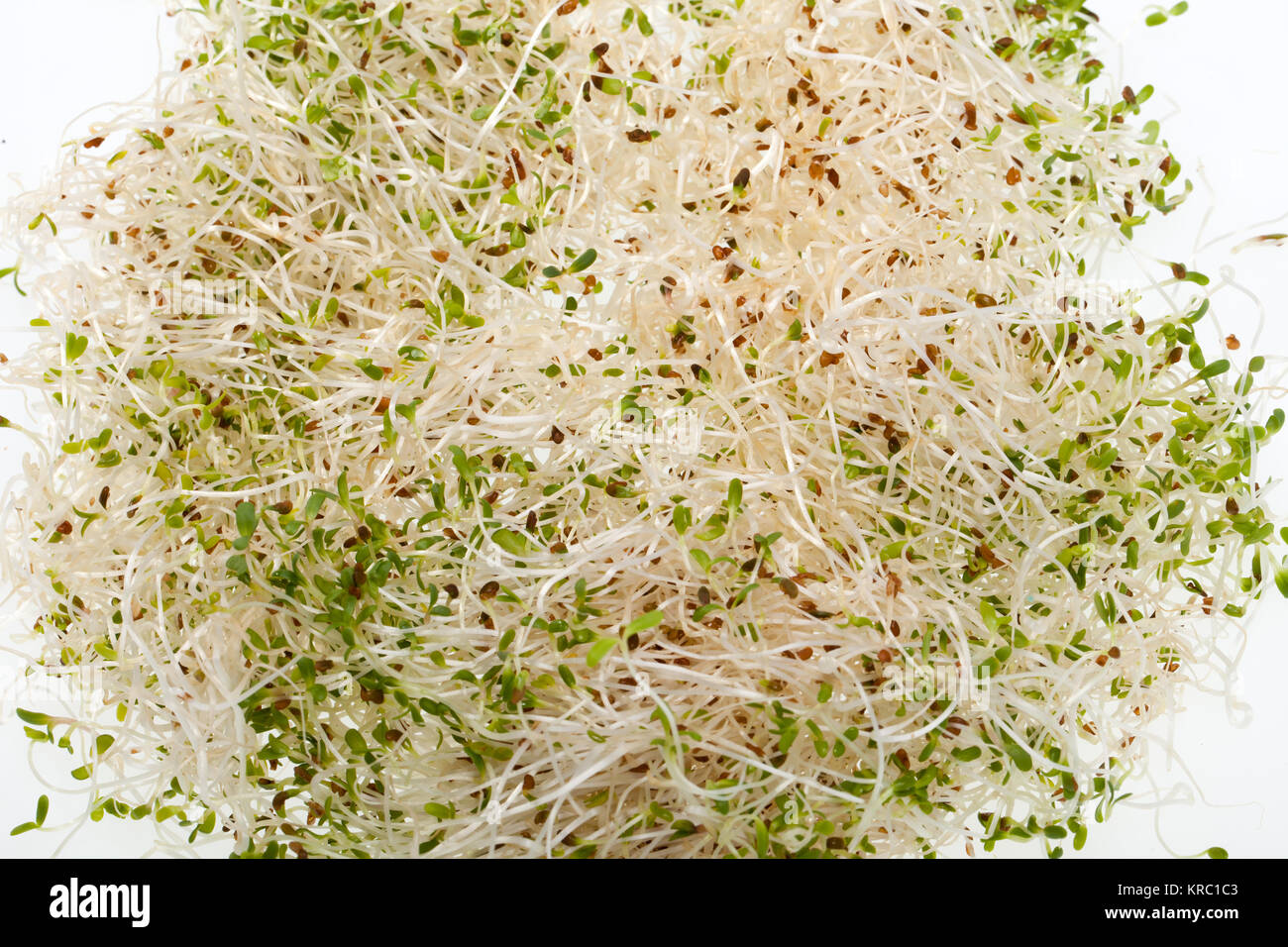 The healthy diet. Fresh sprouts isolated on white background Stock ...