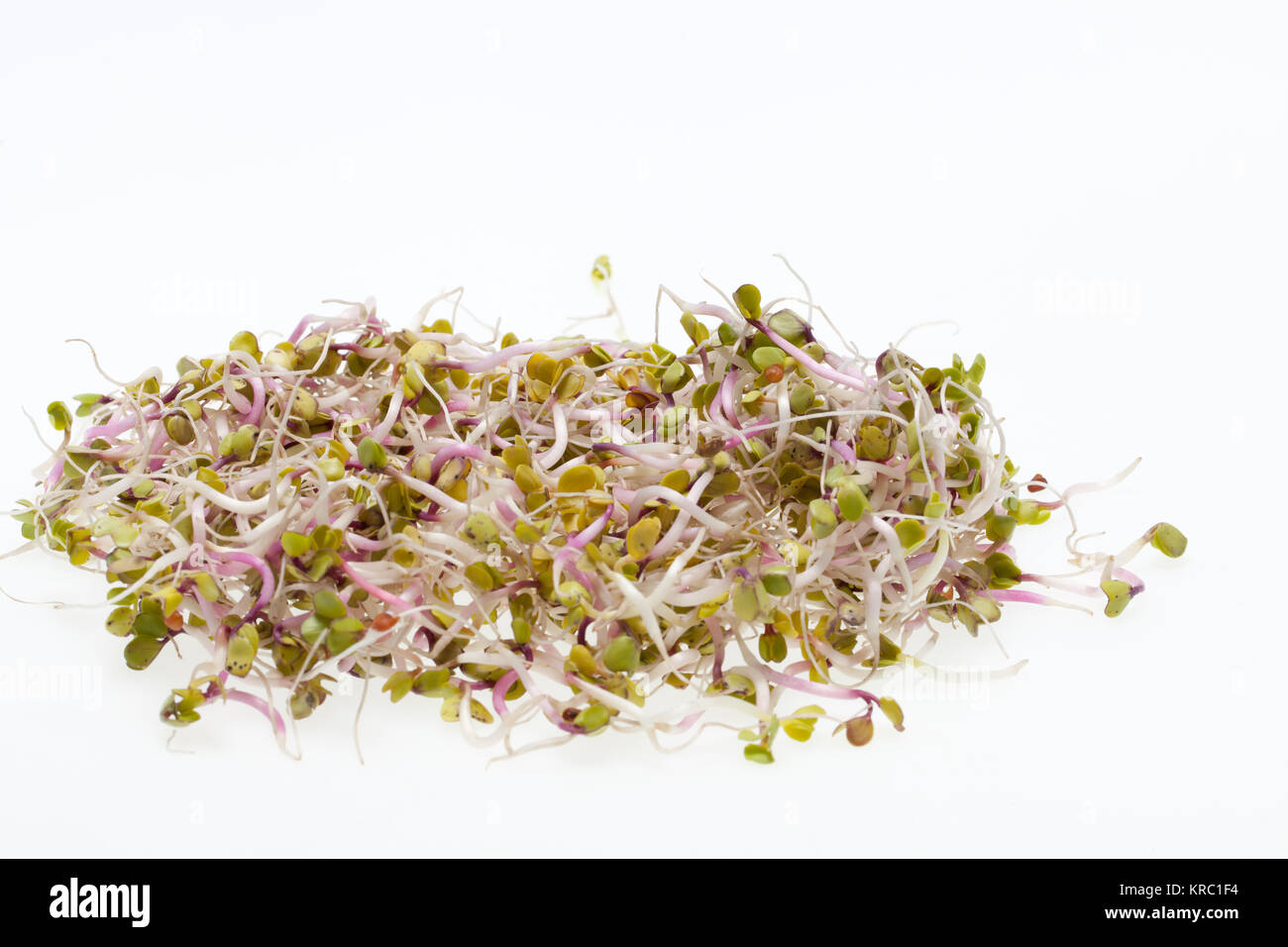 The healthy diet. Fresh sprouts isolated on white background Stock ...