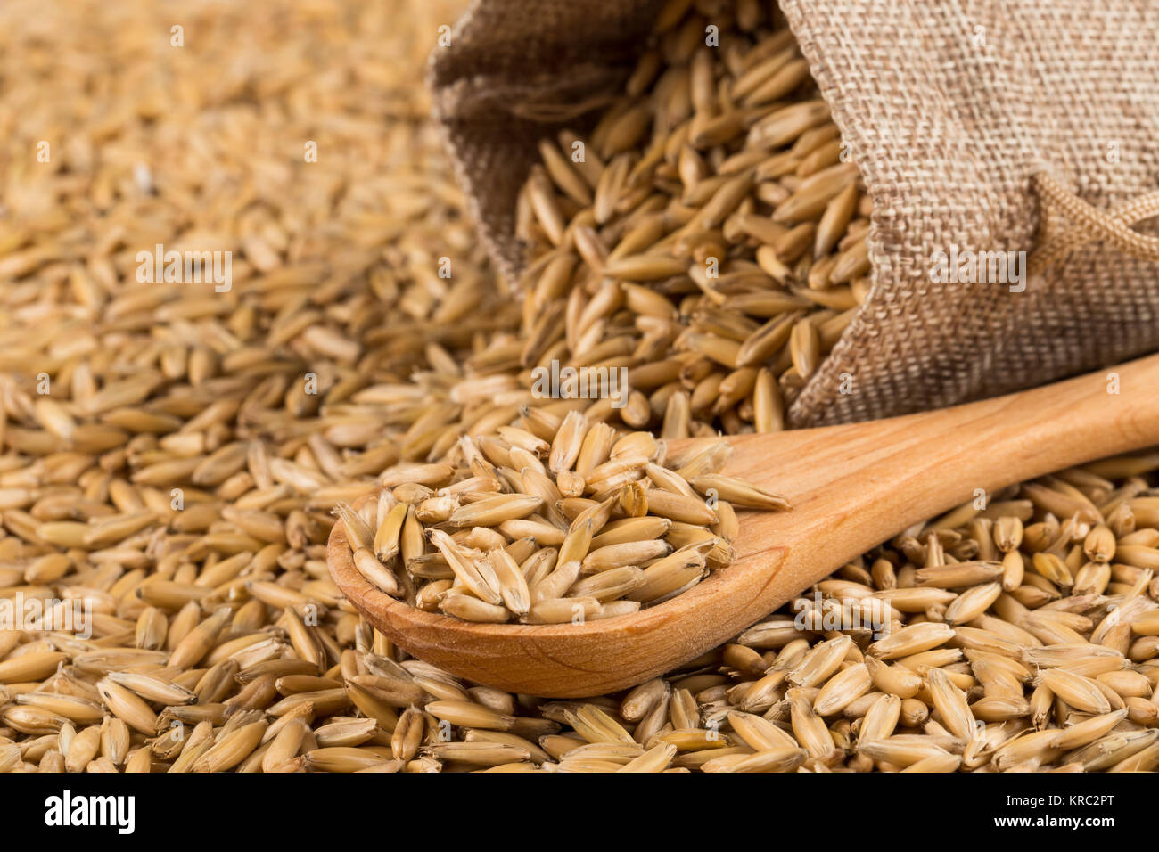 natural oat grains background, closeup Stock Photo - Alamy