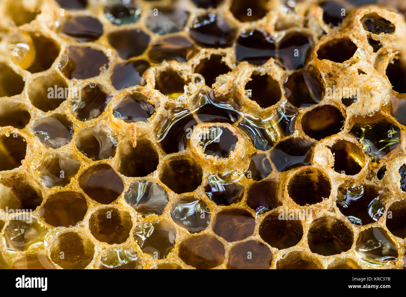 School admission design hi-res stock photography and images - Alamy