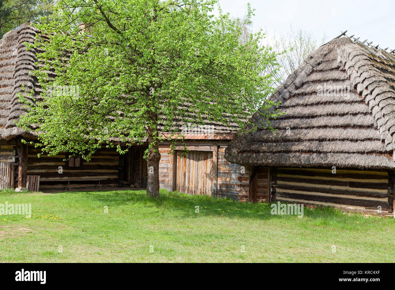 old traditional wooden polish cottage in open-air museum, Ethnographic ...