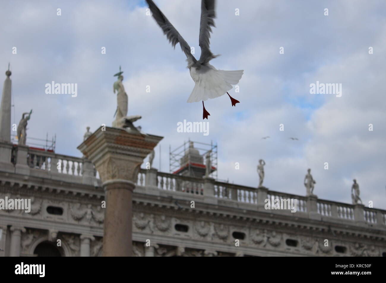 pictures ive taken on my trip trough europe Stock Photo - Alamy