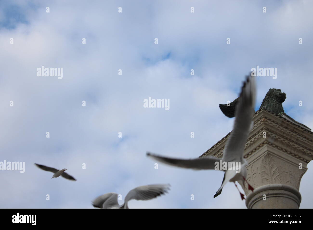 pictures ive taken on my trip trough europe Stock Photo - Alamy