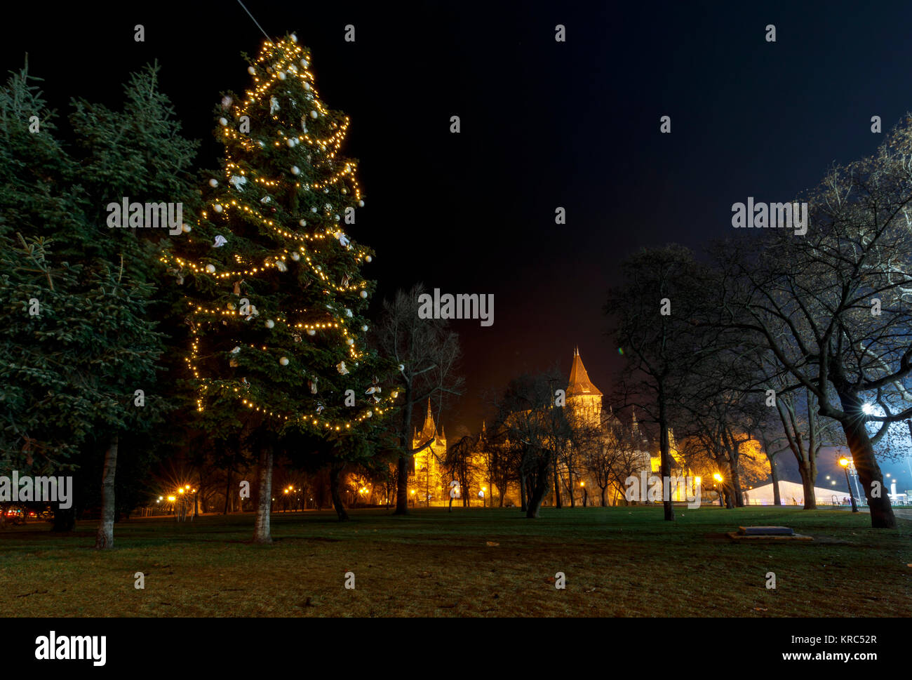 BUDAPEST, HUNGARY - DECEMBER 17: A Christmas tree in front of ...
