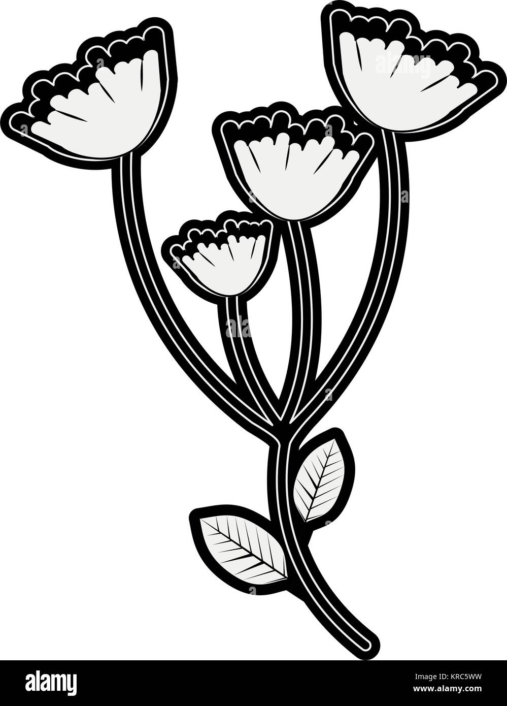 Orange flowers growing Stock Vector Images - Alamy