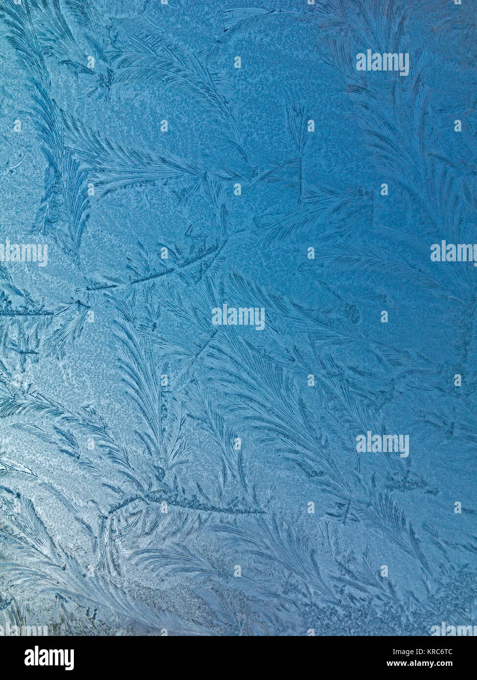 Ice tendrils hi-res stock photography and images - Alamy