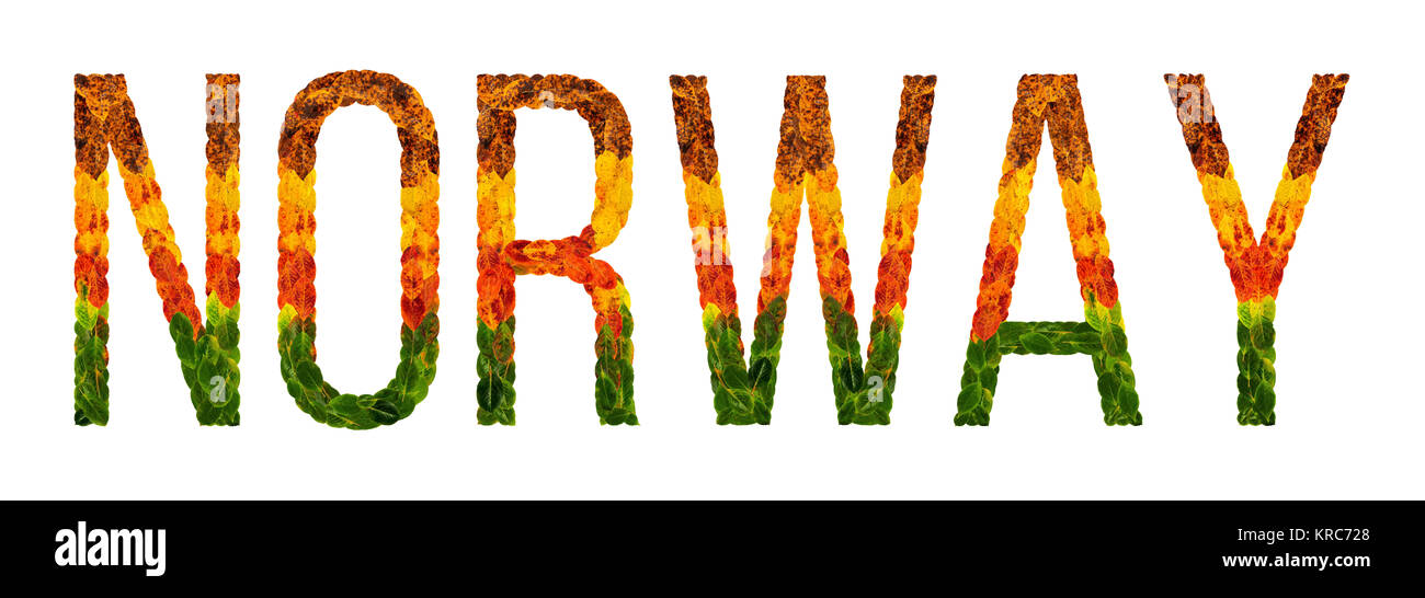 word norway country is written with leaves on a white insulated ...
