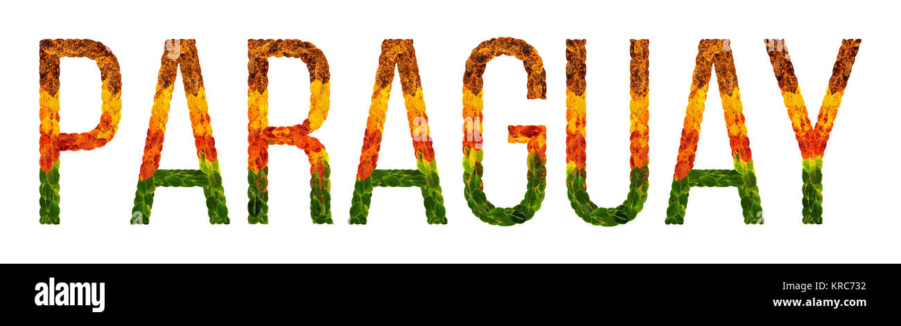 word paraguay country is written with leaves on a white insulated ...